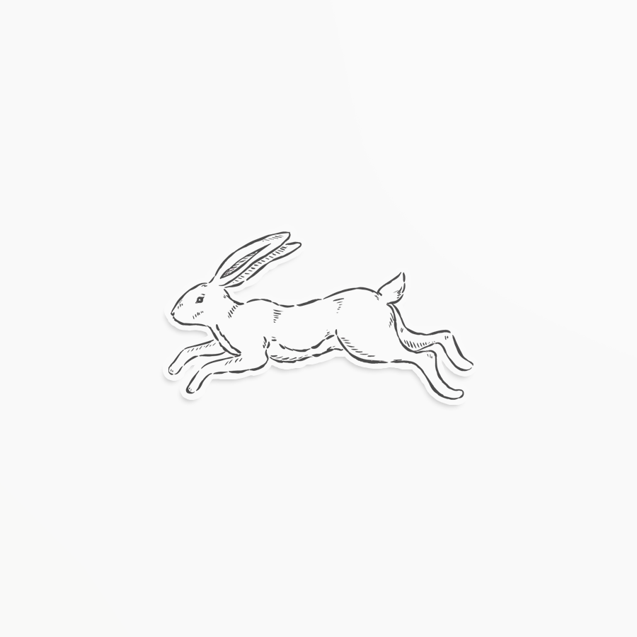 Hare - Clear Vinyl Sticker – White Deer Stationery